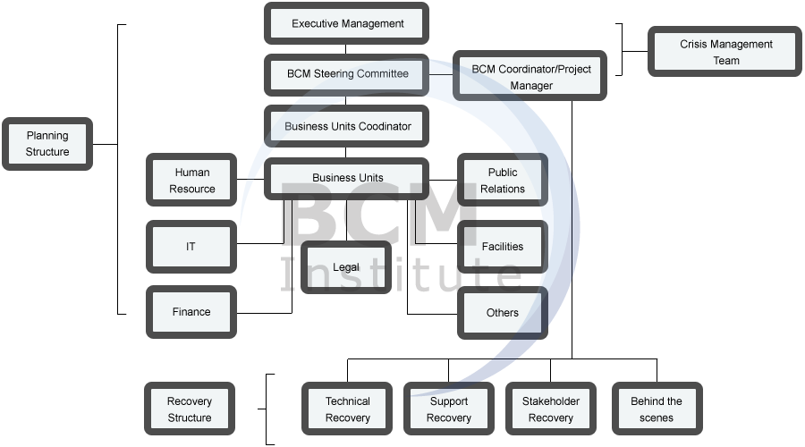 CIR PM BCM Team Structure for CIR